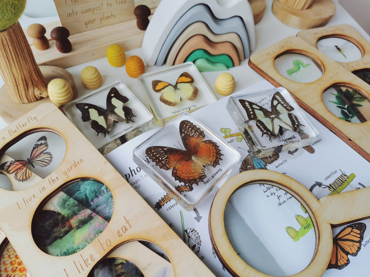 Nature Inspired – Noah's Toys