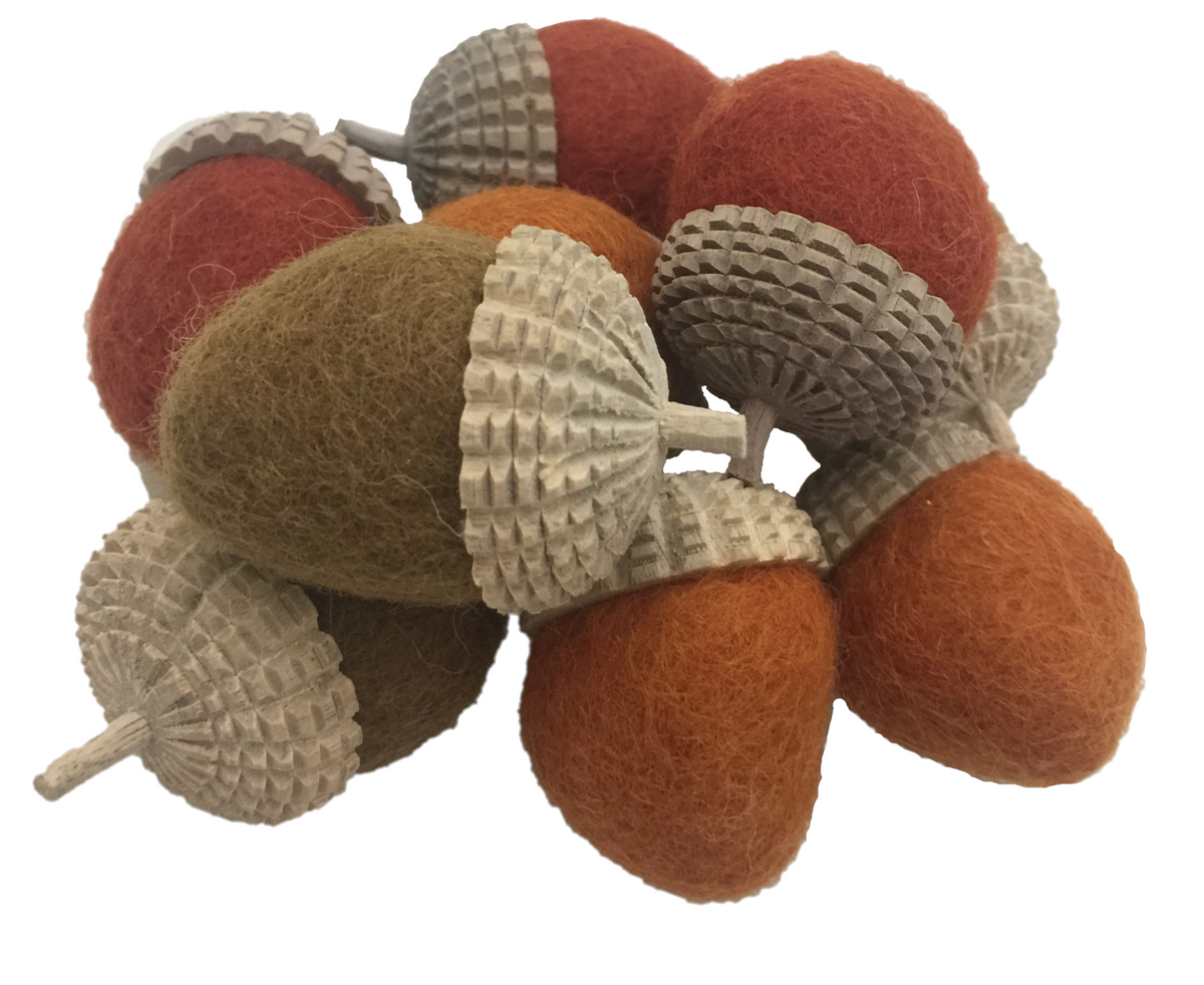 PAPOOSE TOYS Acorns Set of 9 – Noah's Toys